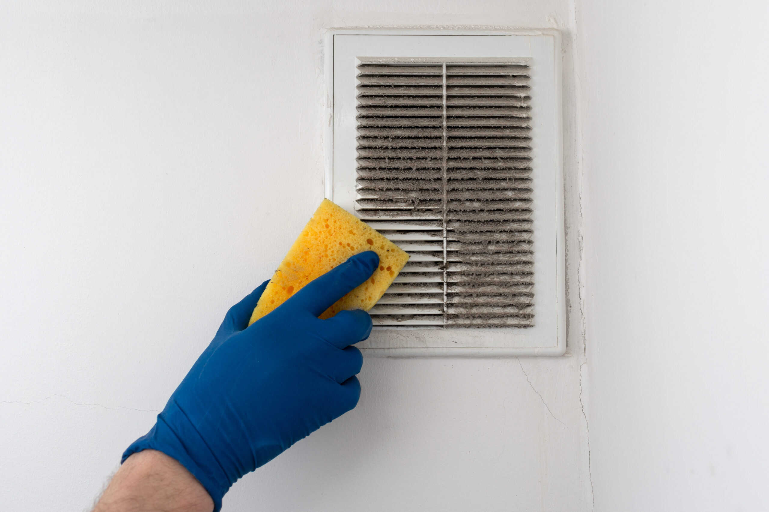 Worried About the Air in Your Home? Here’s What Every DFW Family Should ...